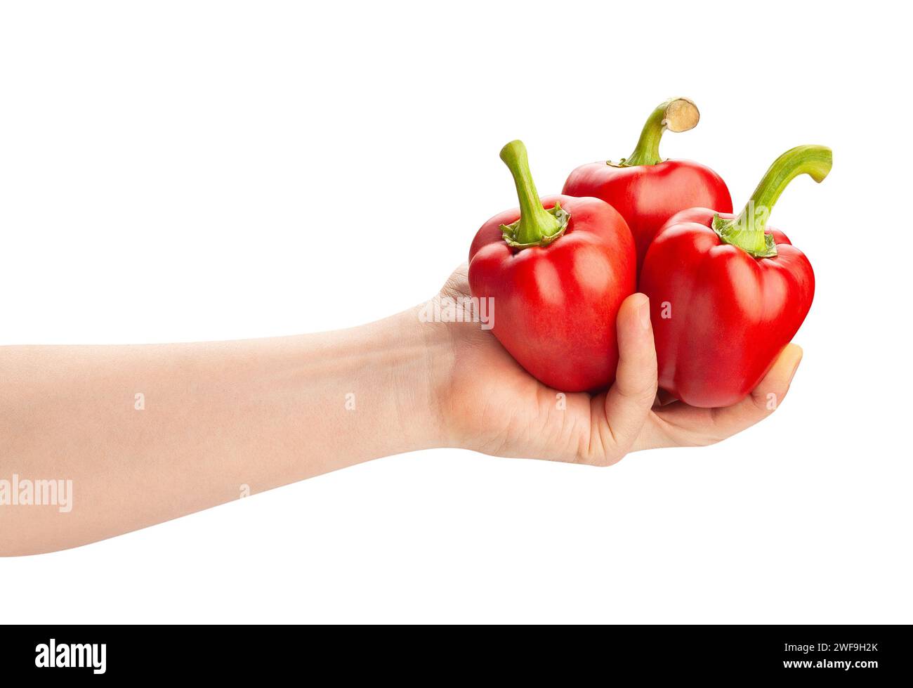 Hand holding pepper hi-res stock photography and images - Alamy