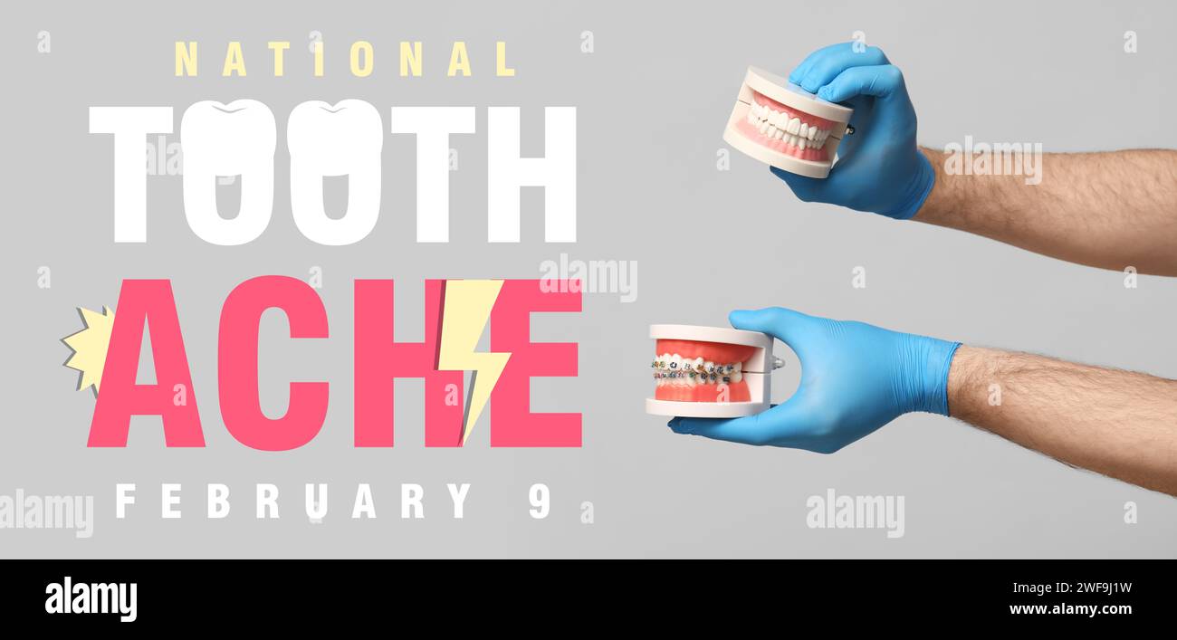 Banner for National Toothache Day with dentist's holding models of jaw ...