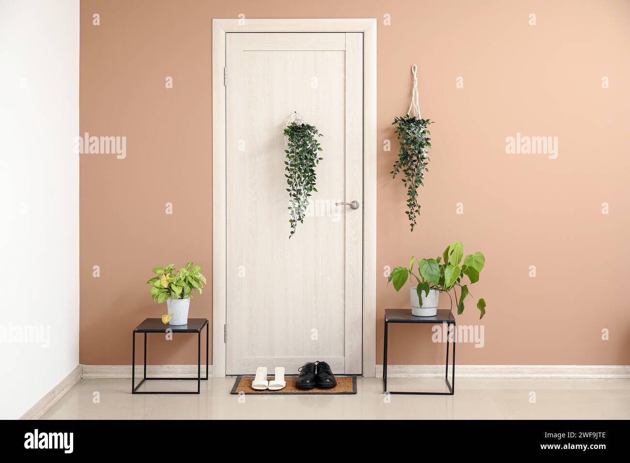Interior of hall with door, plants and tables Stock Photo - Alamy