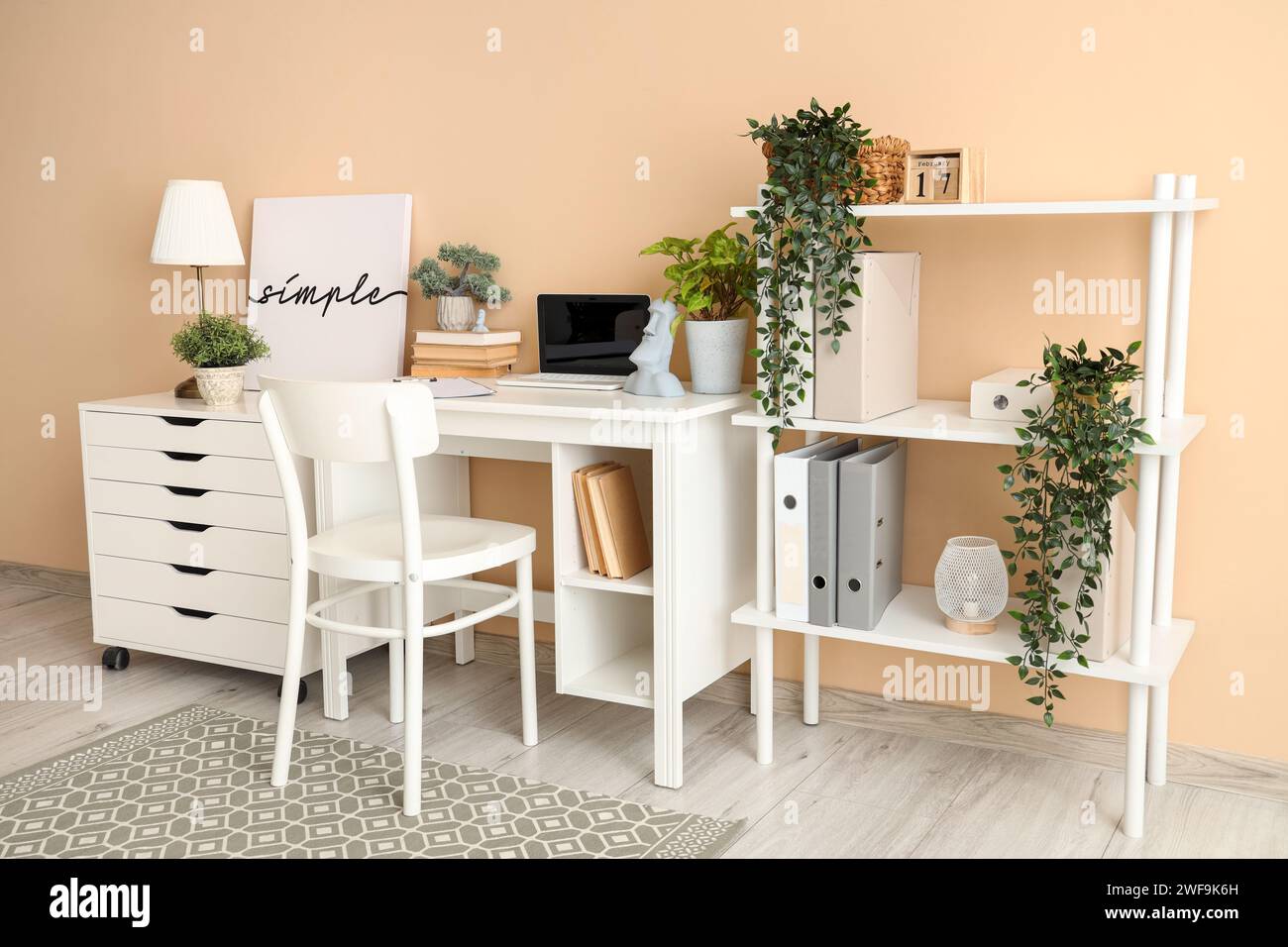 Interior of stylish office with workplace, shelf unit and drawers Stock ...