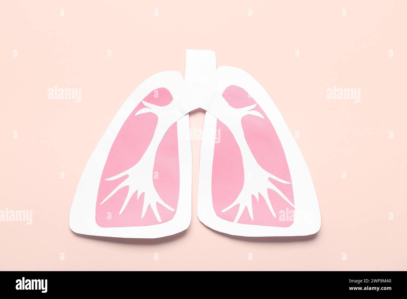 Paper lungs on beige background Stock Photo - Alamy