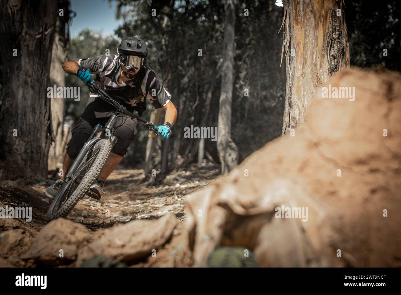 Conviccion hi-res stock photography and images - Alamy