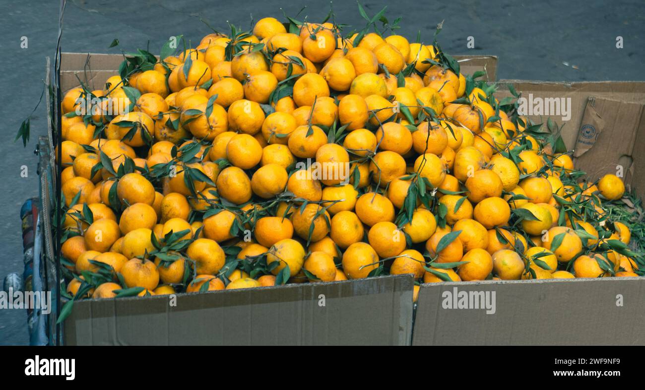 Oranges cart hi-res stock photography and images - Alamy