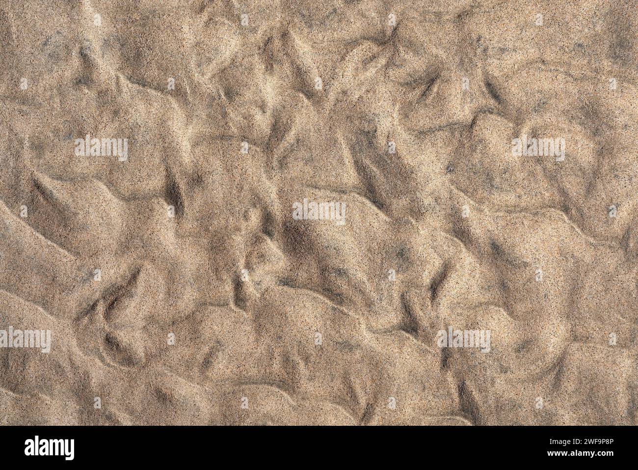 Sandy ground at low tide in close-up, abstract ripple mark pattern in ...