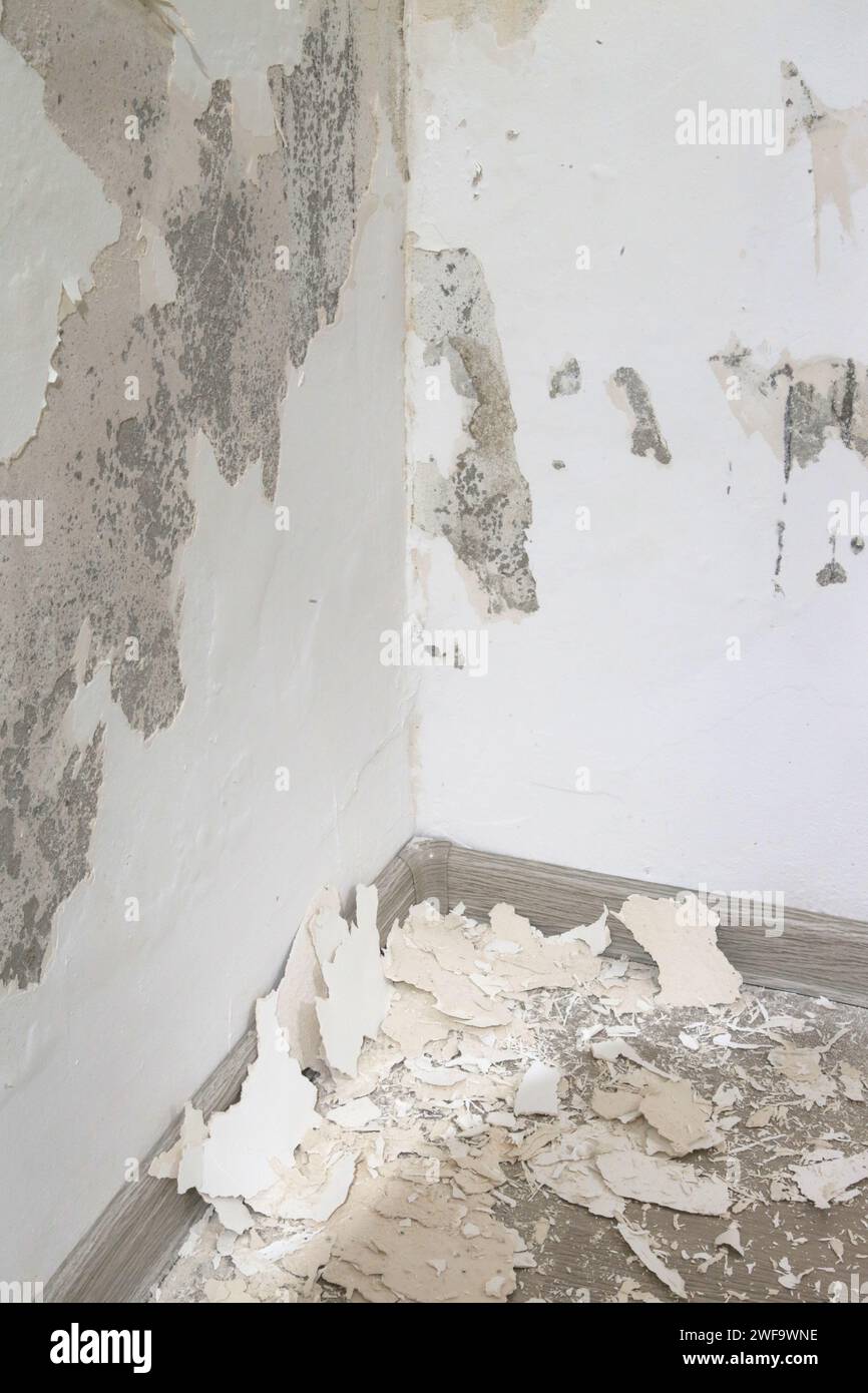 Saltpeter on the wall, Closeup of wall stained with water infiltration ...