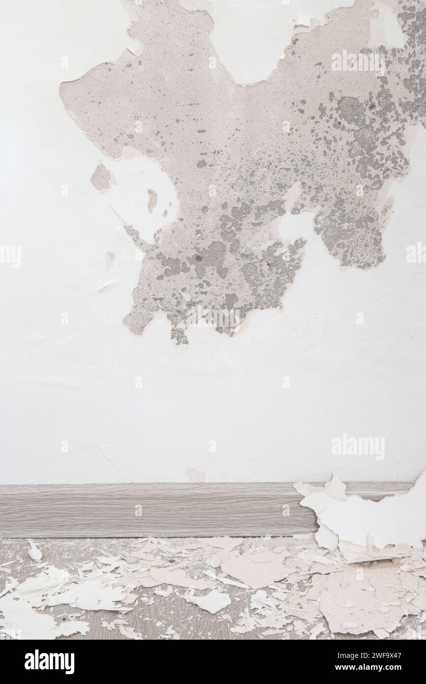Saltpeter on the wall, Closeup of wall stained with water infiltration ...