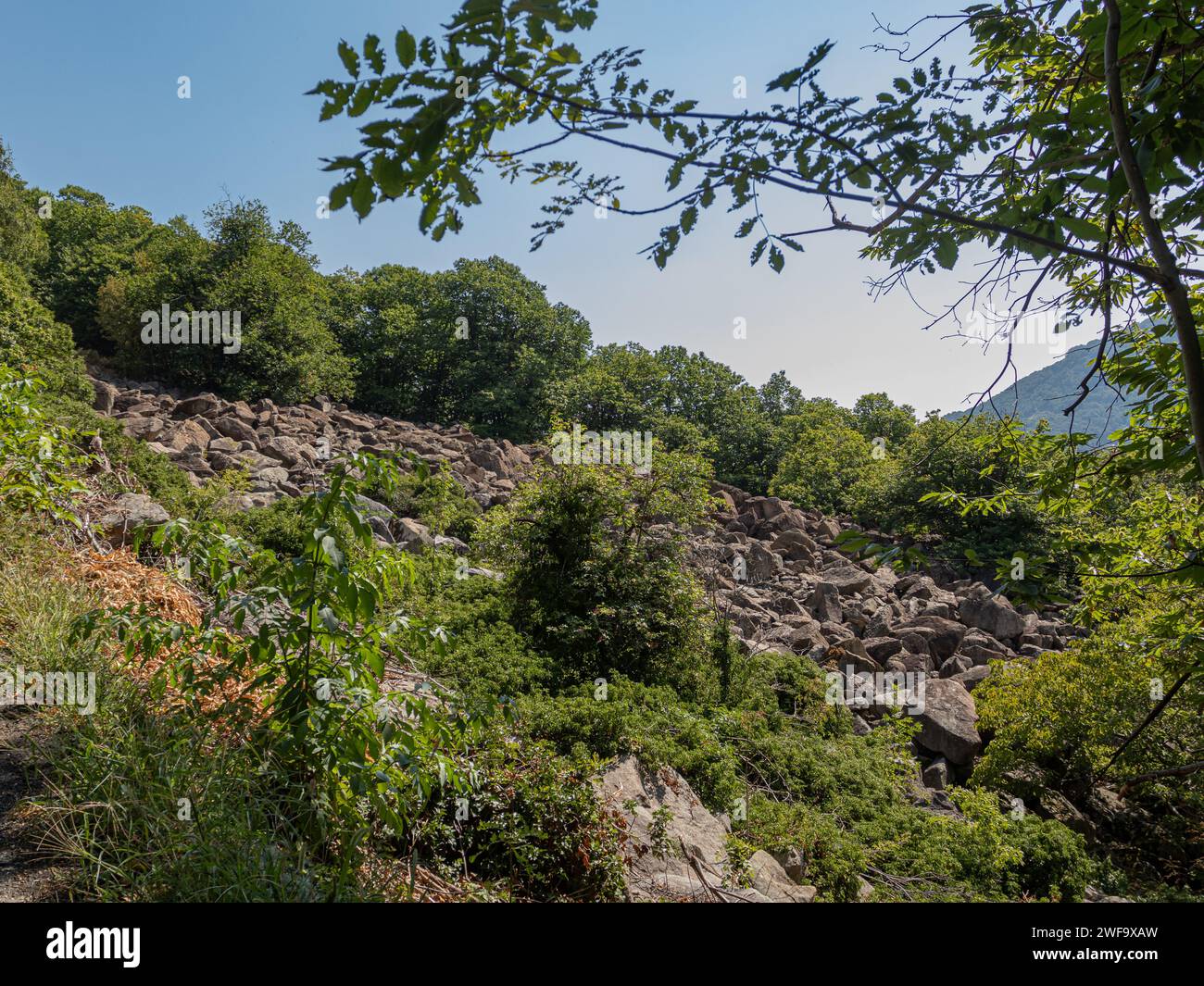 Boulder strewn slope hi-res stock photography and images - Alamy