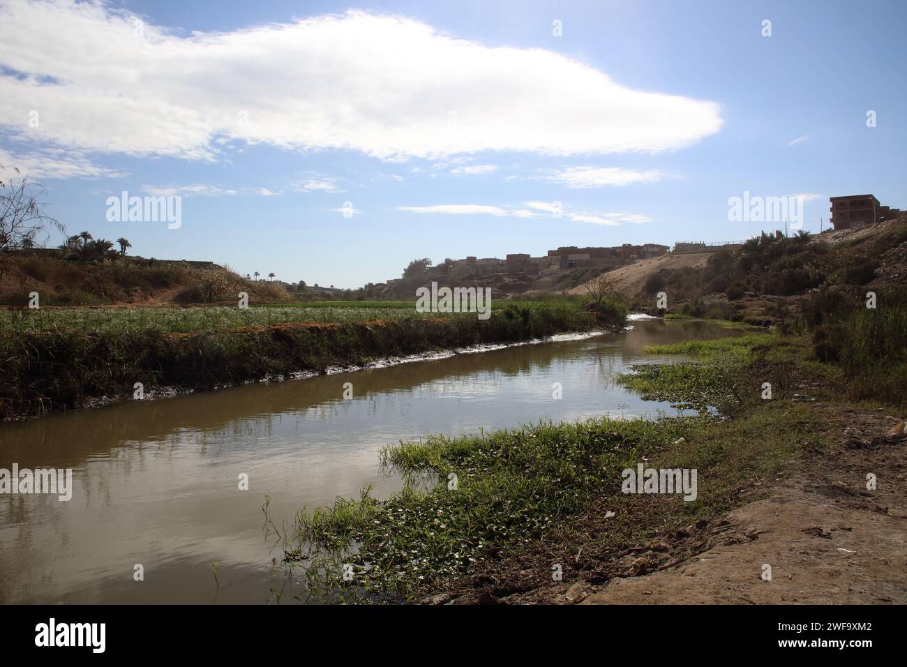 stream, water, and plantations in a village Stock Photo - Alamy
