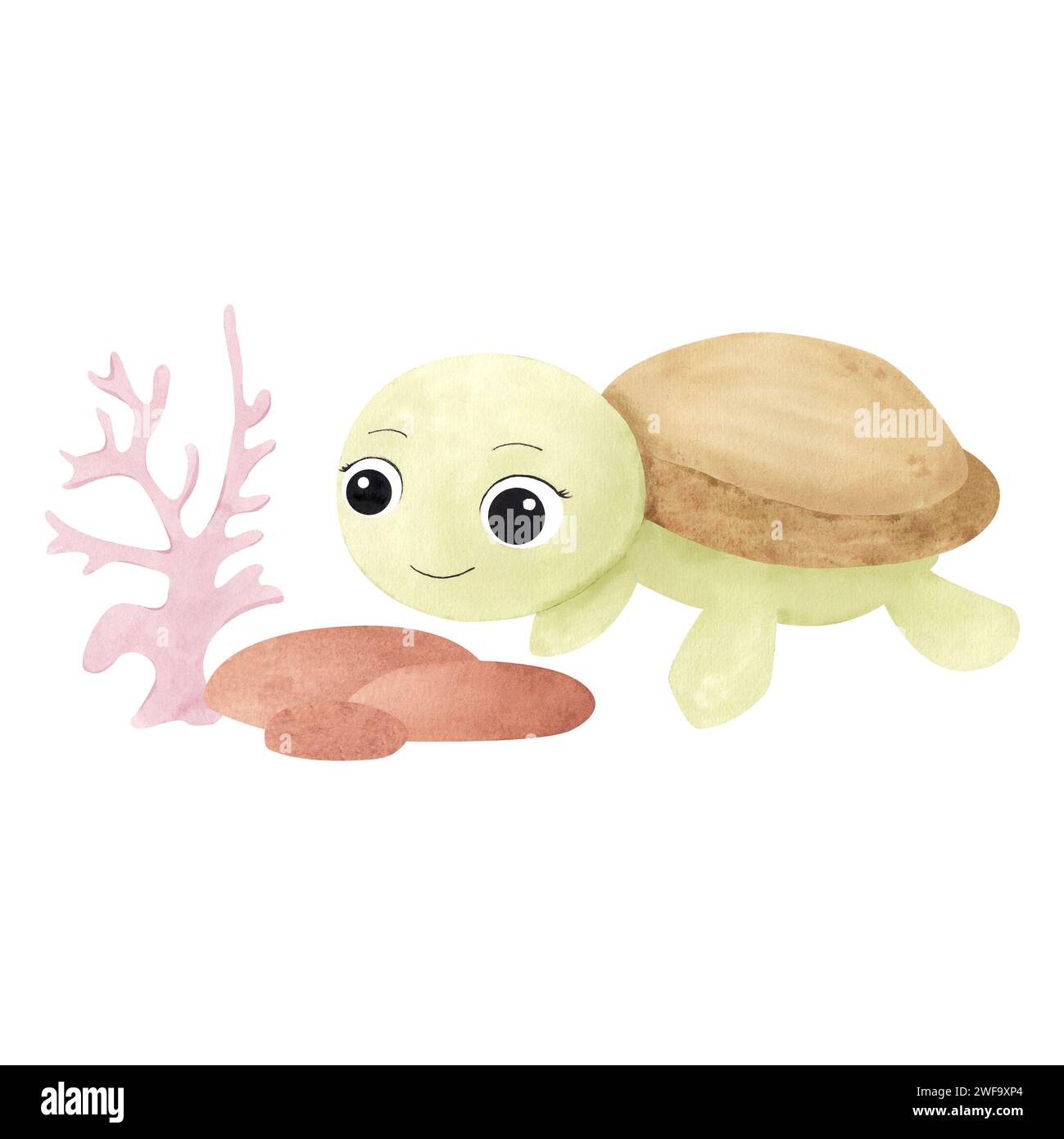 Baby Shower Sea Turtle Cartoon