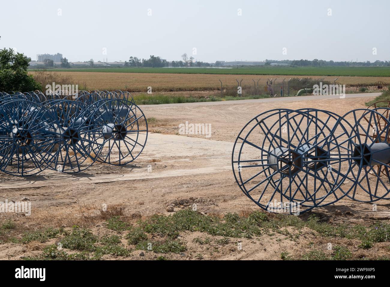 Empty Water hose bobbin serving as an irrigation delivery pipeline for ...