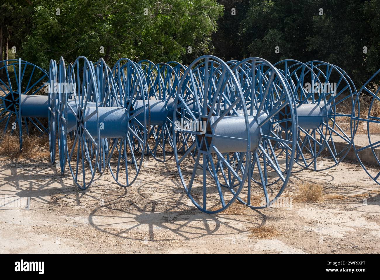 Empty Water hose bobbin serving as an irrigation delivery pipeline for ...