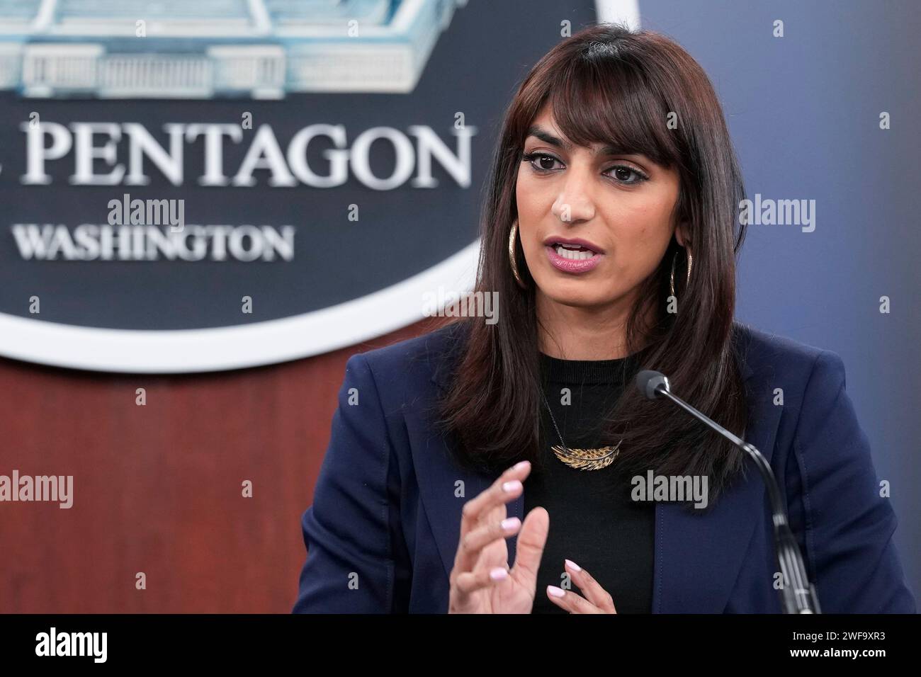 Deputy Pentagon press secretary Sabrina Singh speaks during a briefing ...
