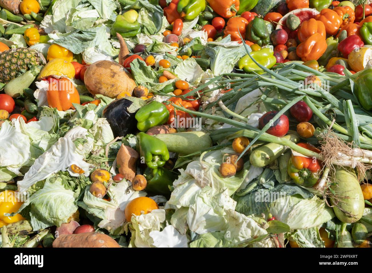 Expired Organic bio waste. Biodegradable waste decomposing, a mix of ...