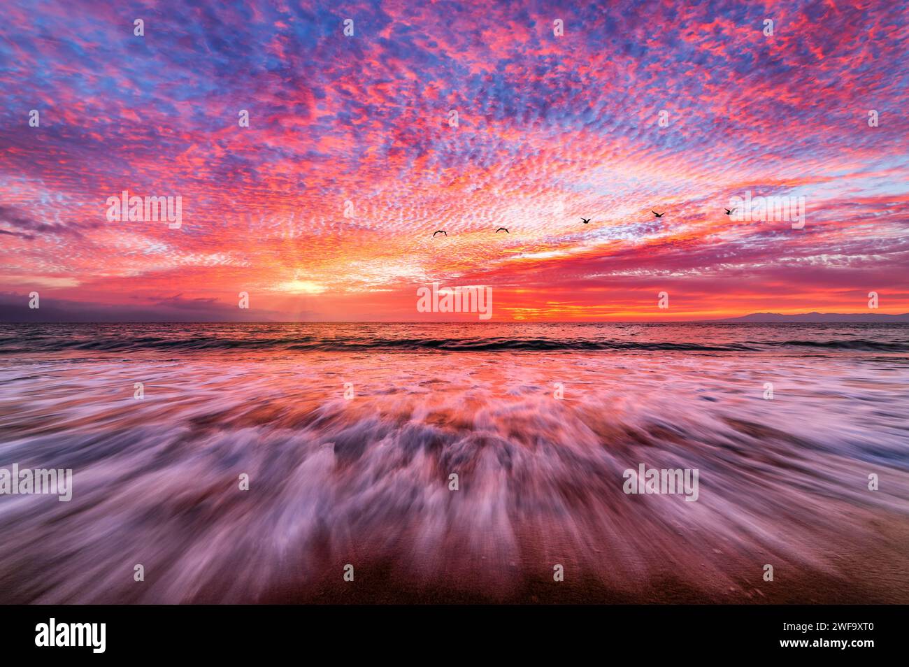 Beautiful beach sea colorful ocean hi-res stock photography and images ...