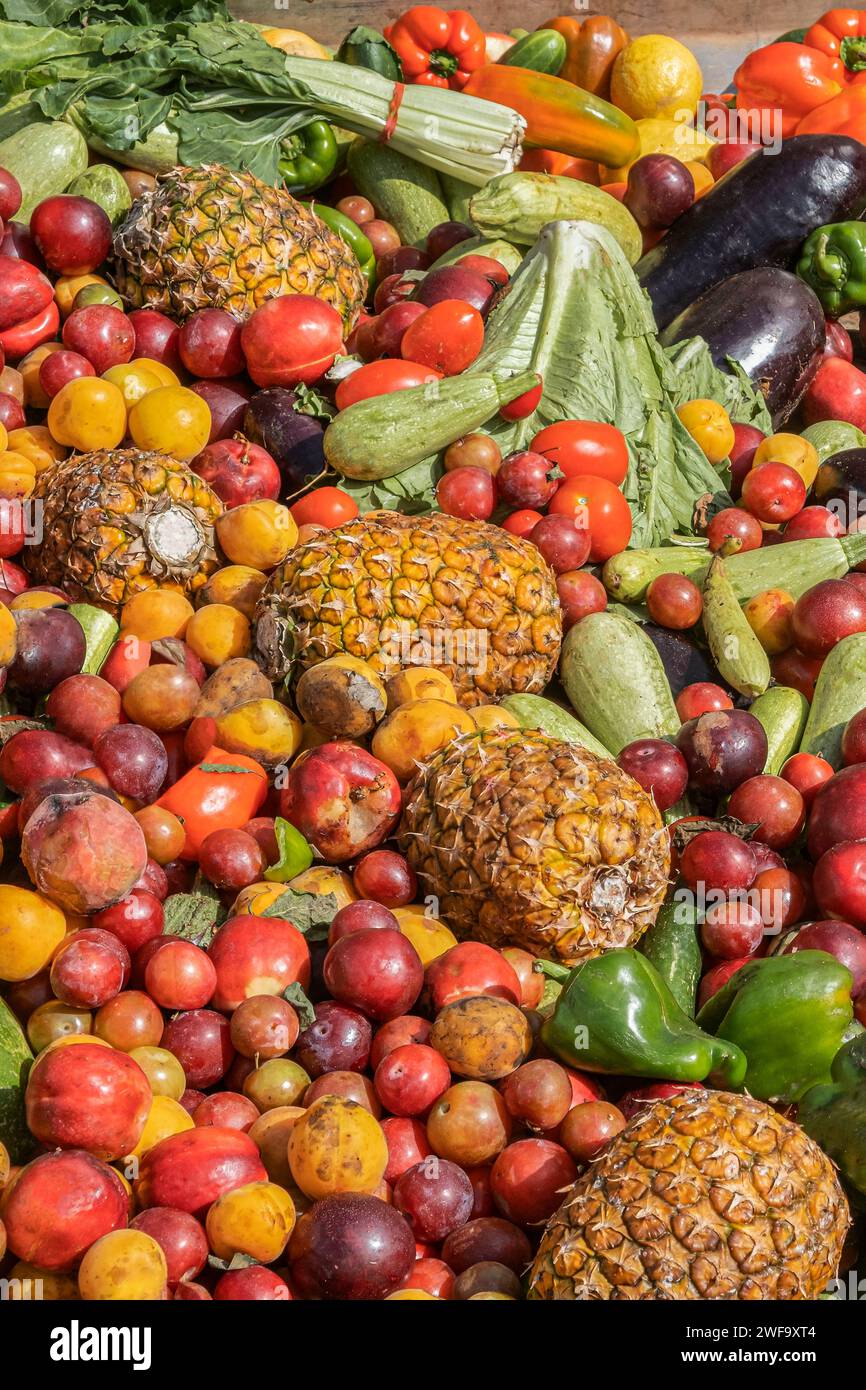 Expired Organic bio waste. Biodegradable waste decomposing, a mix of ...