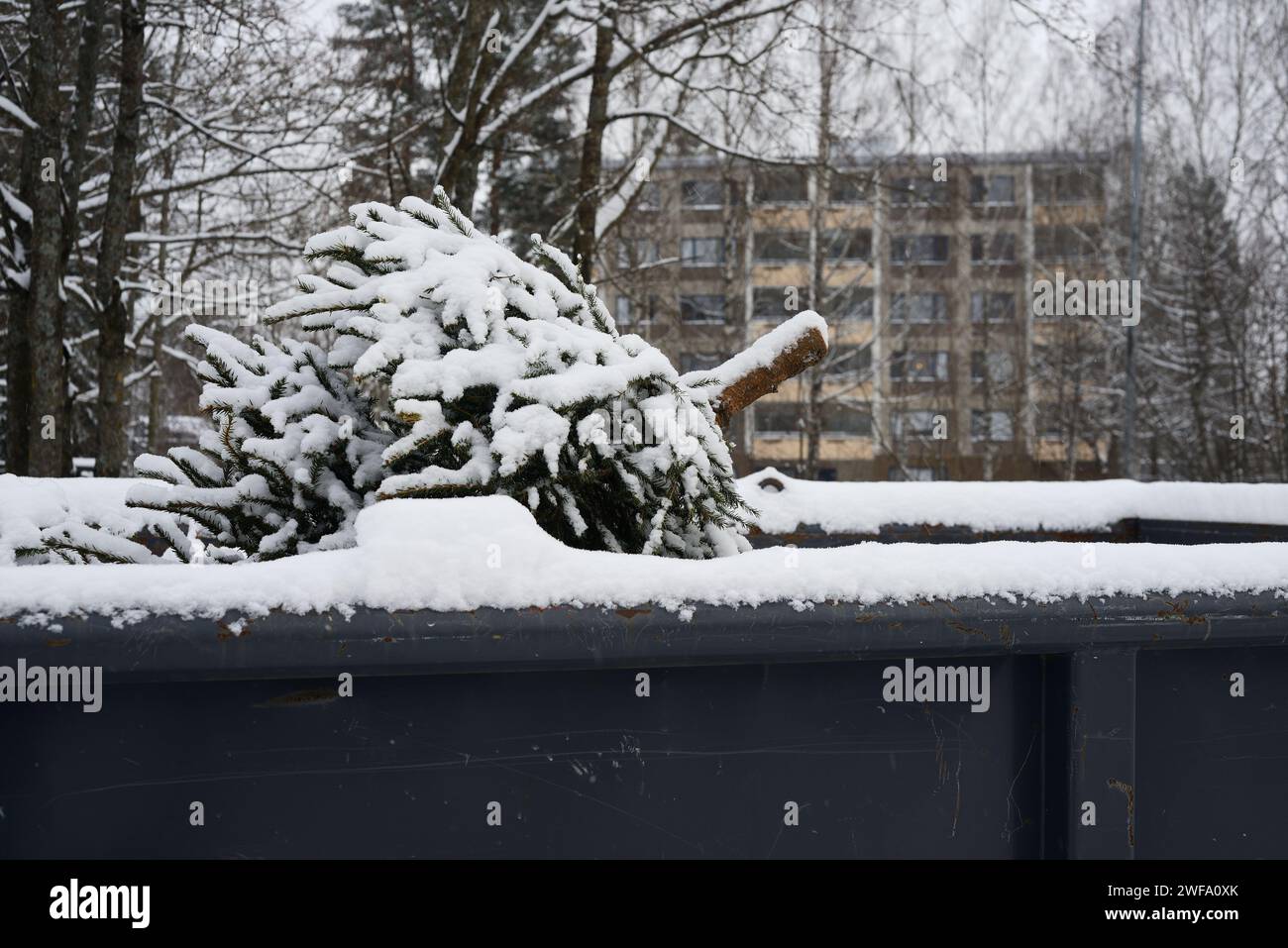 Tree as trash hi-res stock photography and images - Alamy