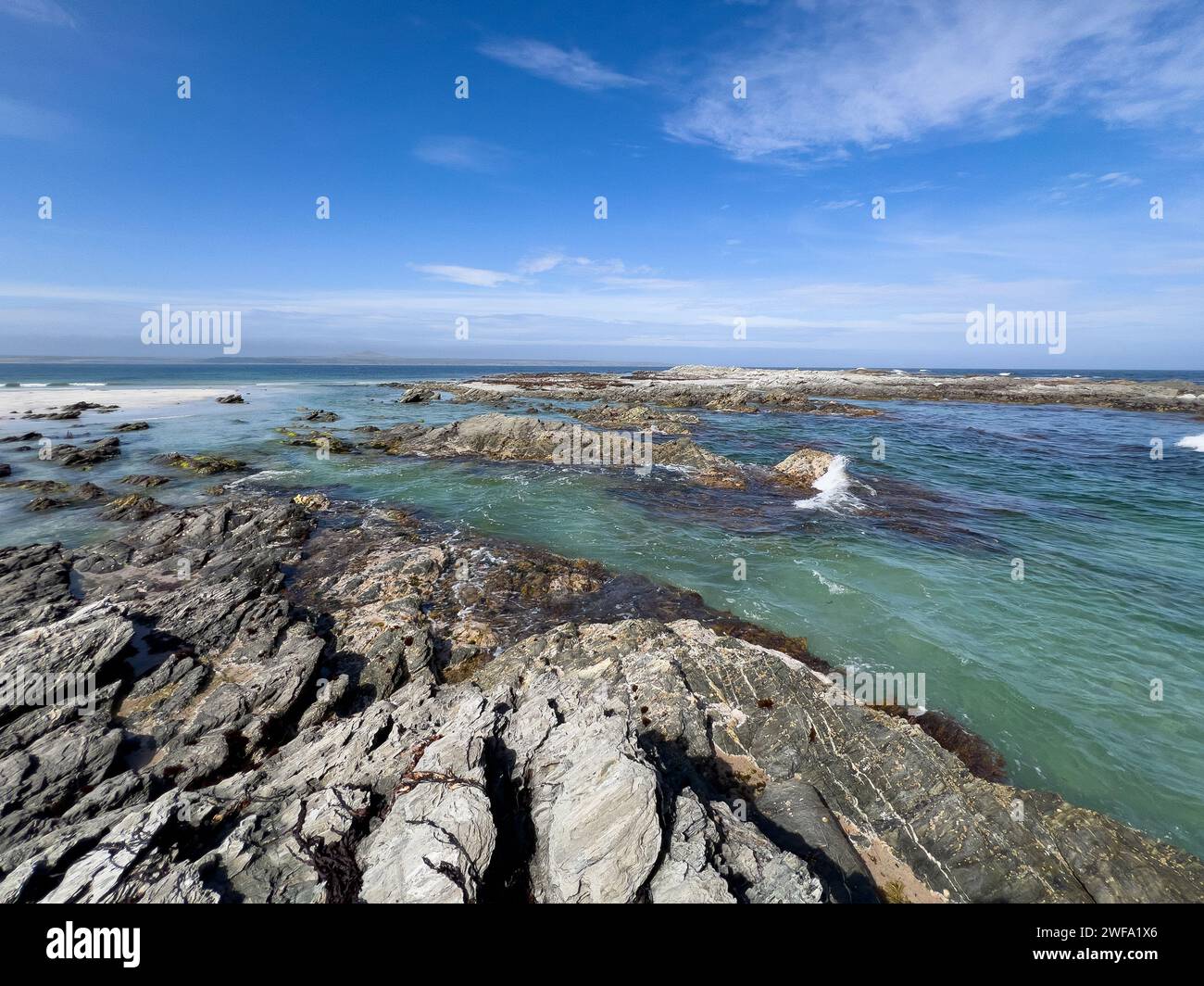 The scenic windswept landscape of Chatham Island, New Zealand Stock ...