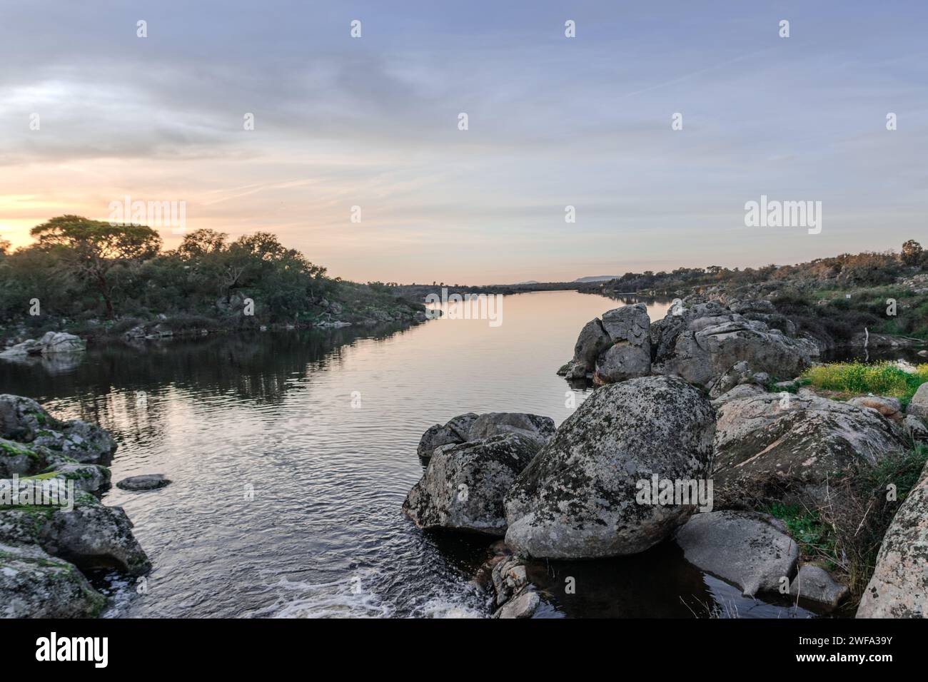 Tail end view hi-res stock photography and images - Alamy