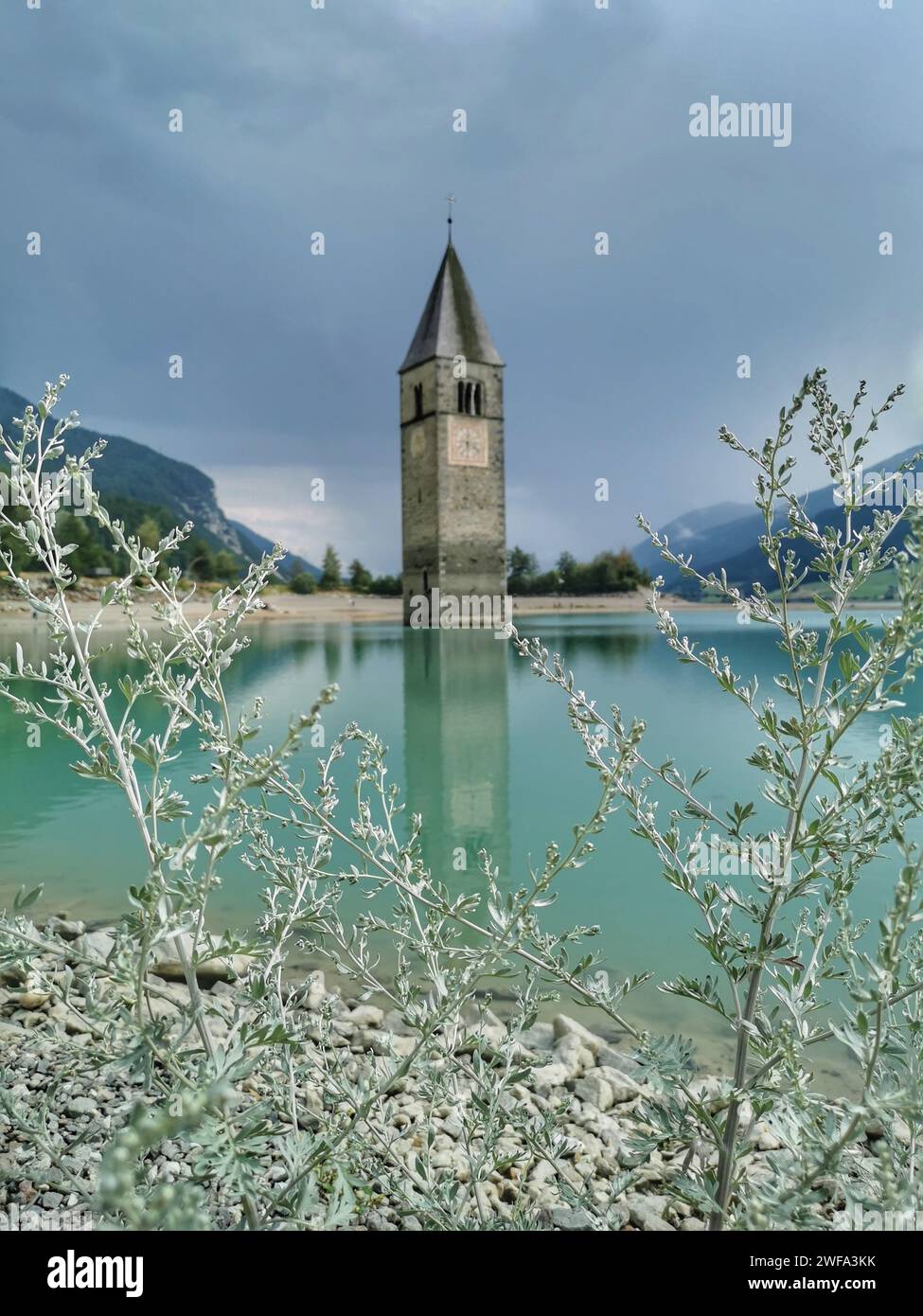 The historic Tower of Sunken Church near Lago di Resina in South Tyrol ...