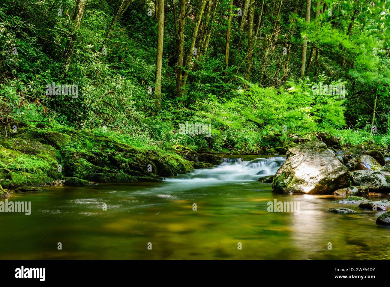 Small Cascade on the North Fork French Broad River Stock Photo - Alamy