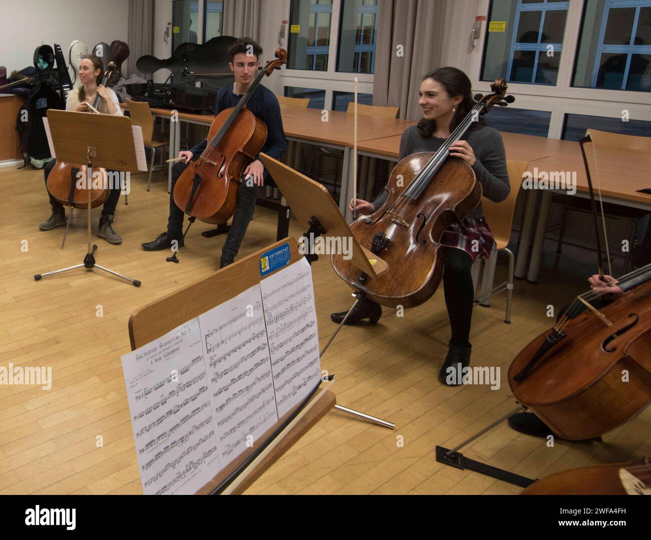 musicians and their instruments at a classical music orchestra ...