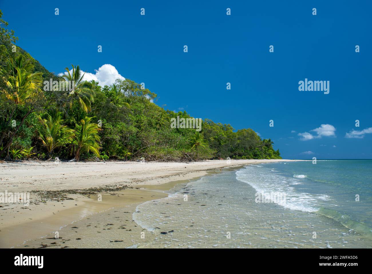 A serene coastal landscape of Thornton Beach, Daintree National Park ...