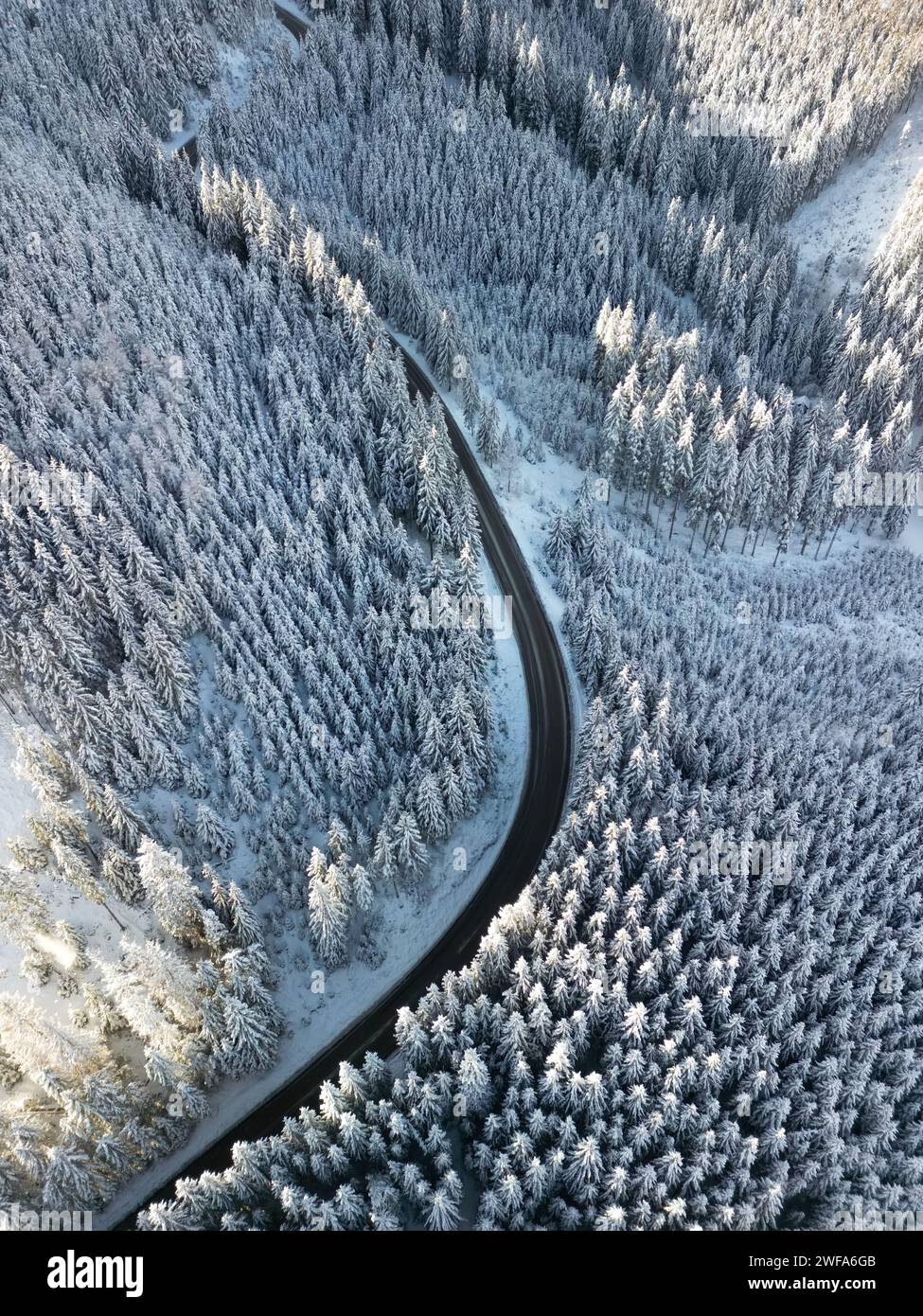 Aerial view of curvy asphalt road through winter forest of Low Tatras ...