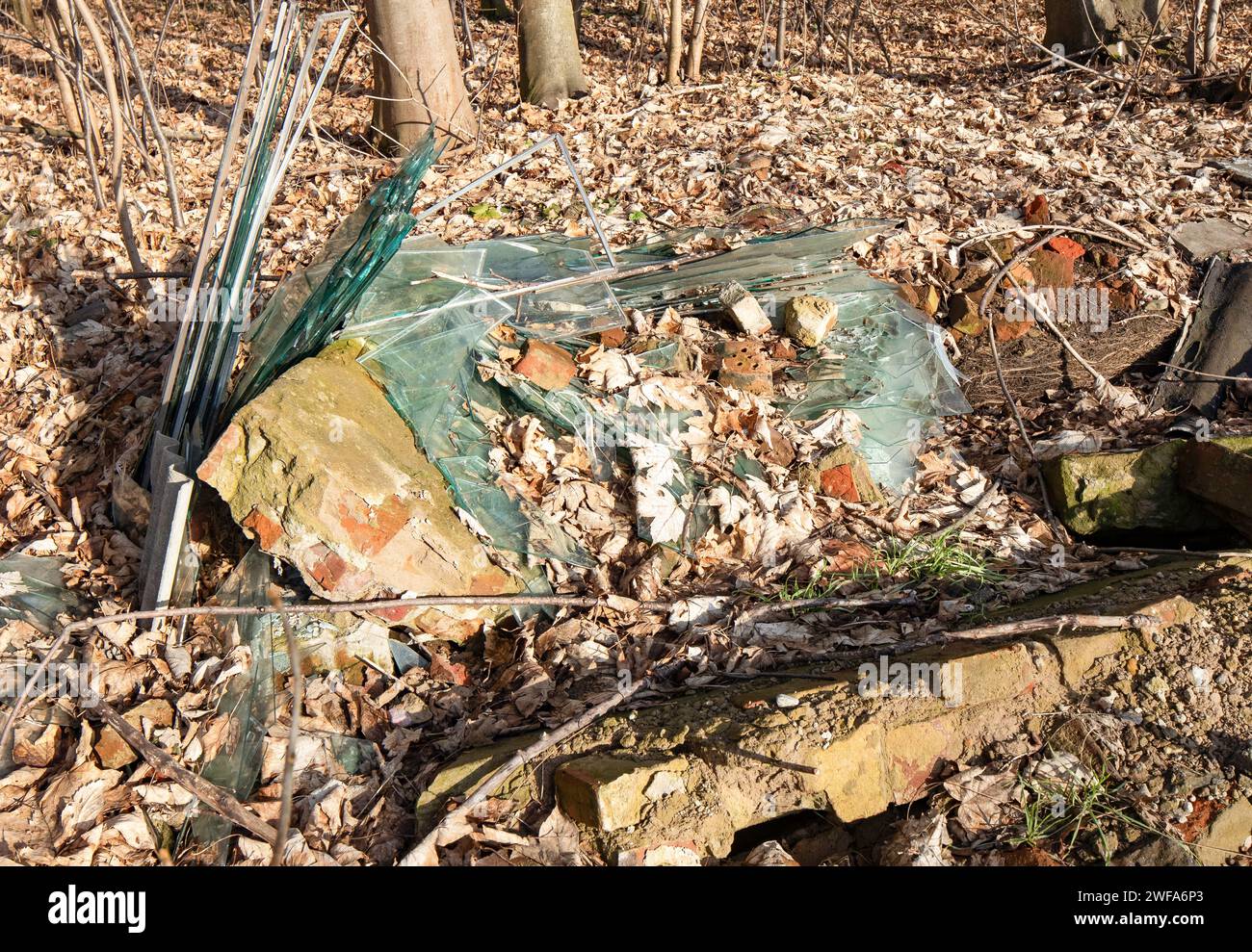 Broken glass, window panes smashed in the woods, litter in the ...