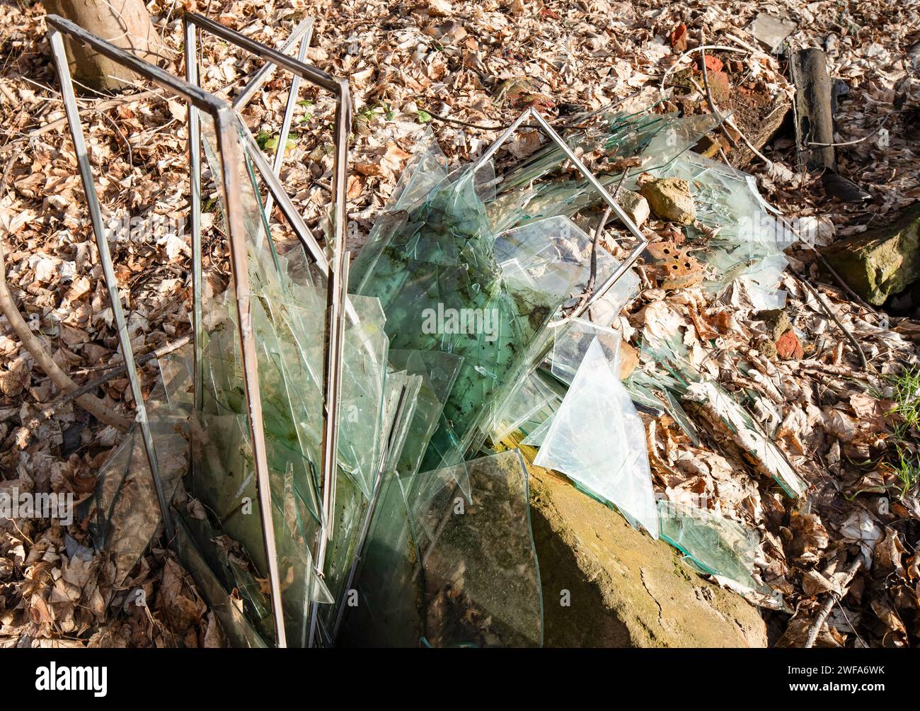 Broken glass, window panes smashed in the woods, litter in the ...