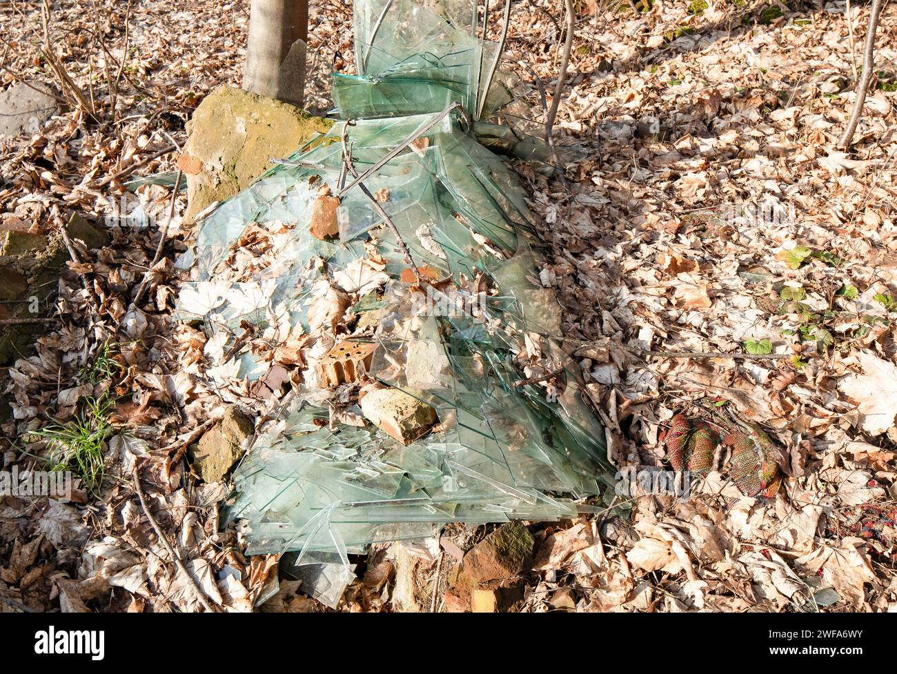 Broken glass, window panes smashed in the woods, litter in the ...