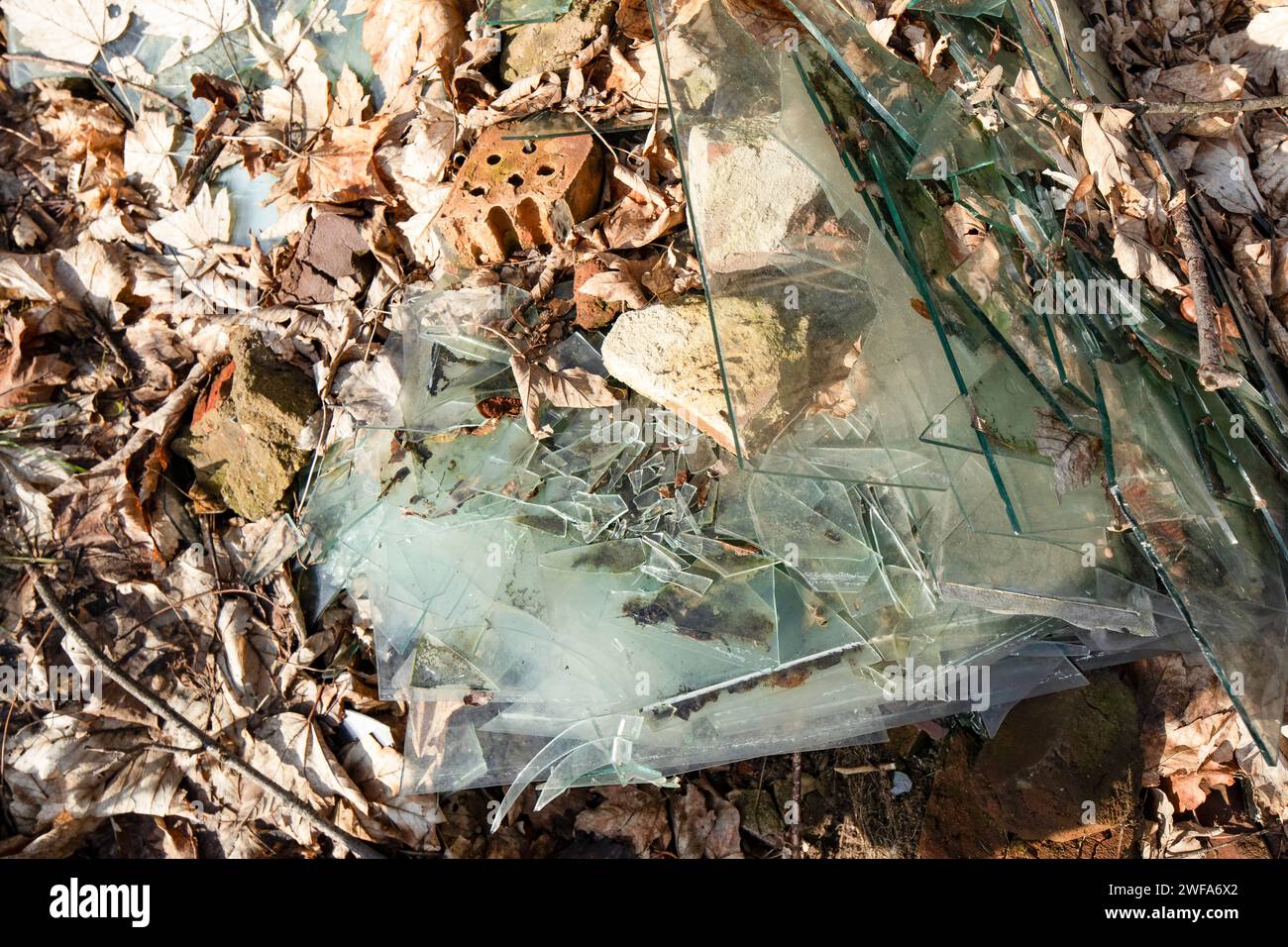 Broken glass, window panes smashed in the woods, litter in the ...