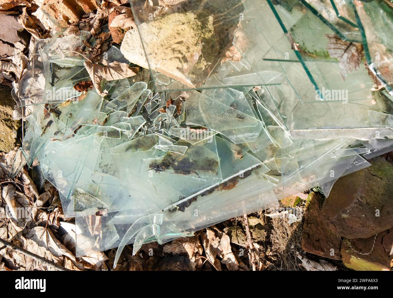 Broken glass, window panes smashed in the woods, litter in the ...