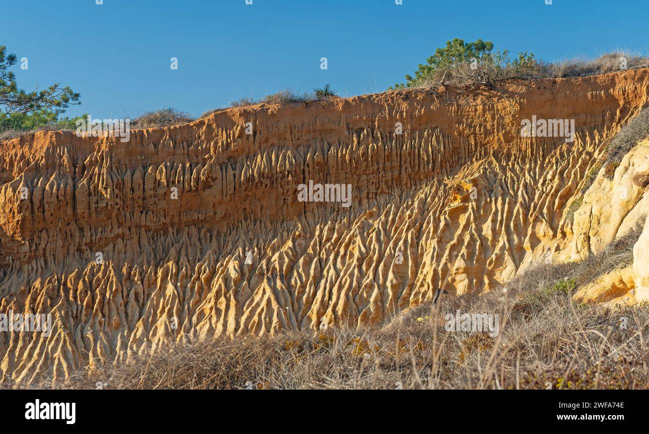 Fluted Erosion in Sandstone Cliffs at Torrey Pines State Nature ...