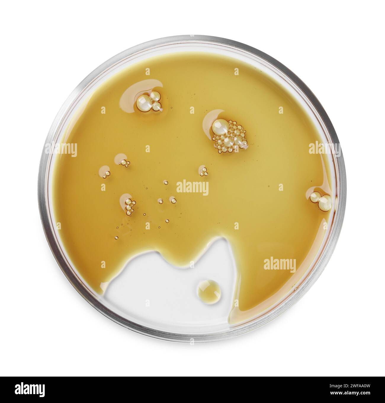 Petri dish with color liquid sample isolated on white, top view Stock ...