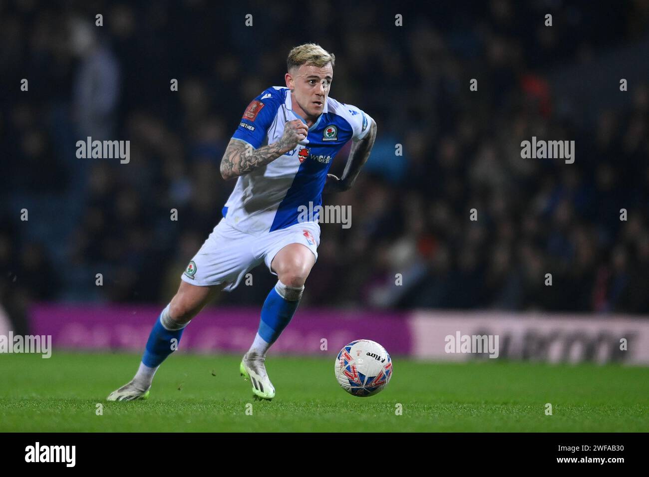 Sammie szmodics 2024 hi-res stock photography and images - Alamy
