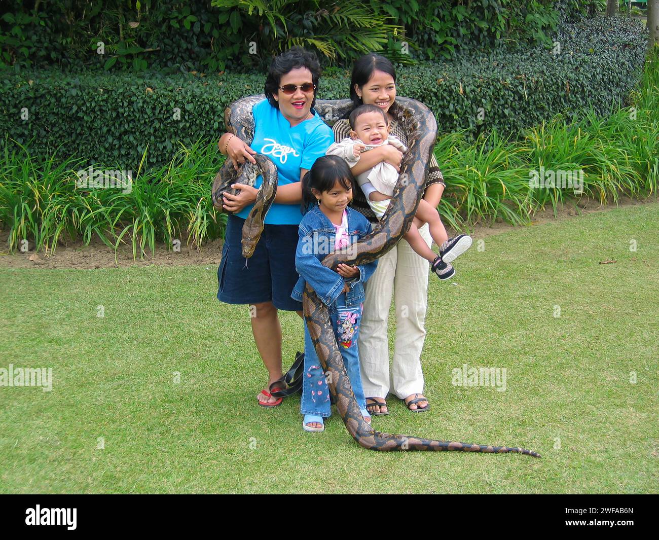 Bali reptiles hi-res stock photography and images - Alamy