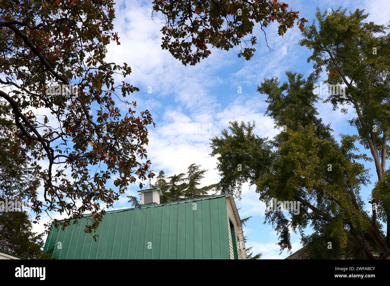 Tall green building hi-res stock photography and images - Alamy