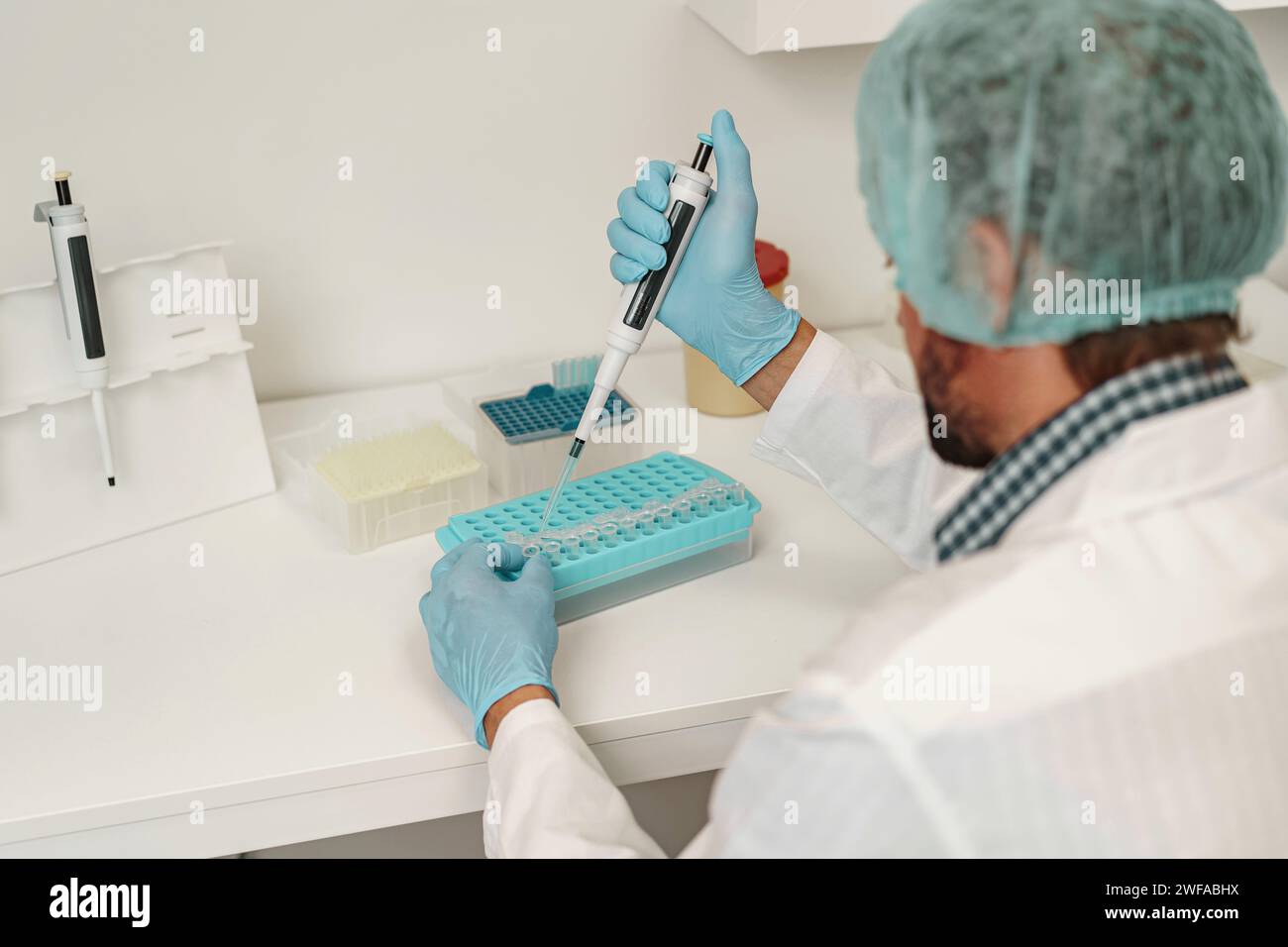 Back view of scientist is using micropipette for biochemical test ...
