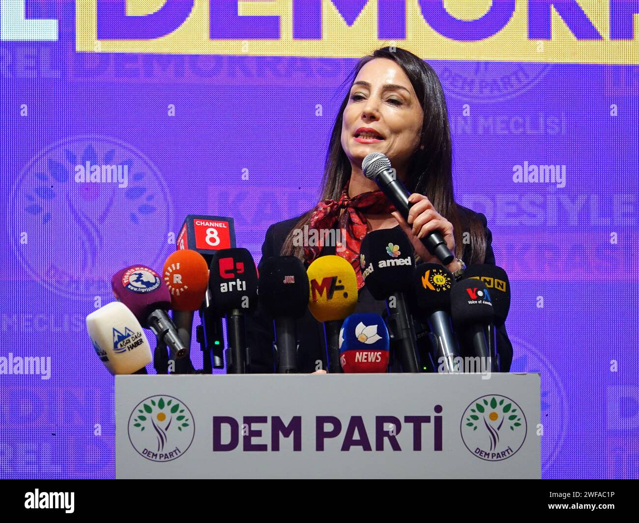 Peoples' Equality and Democracy Party (DEM Party) Co-Chair Tulay ...