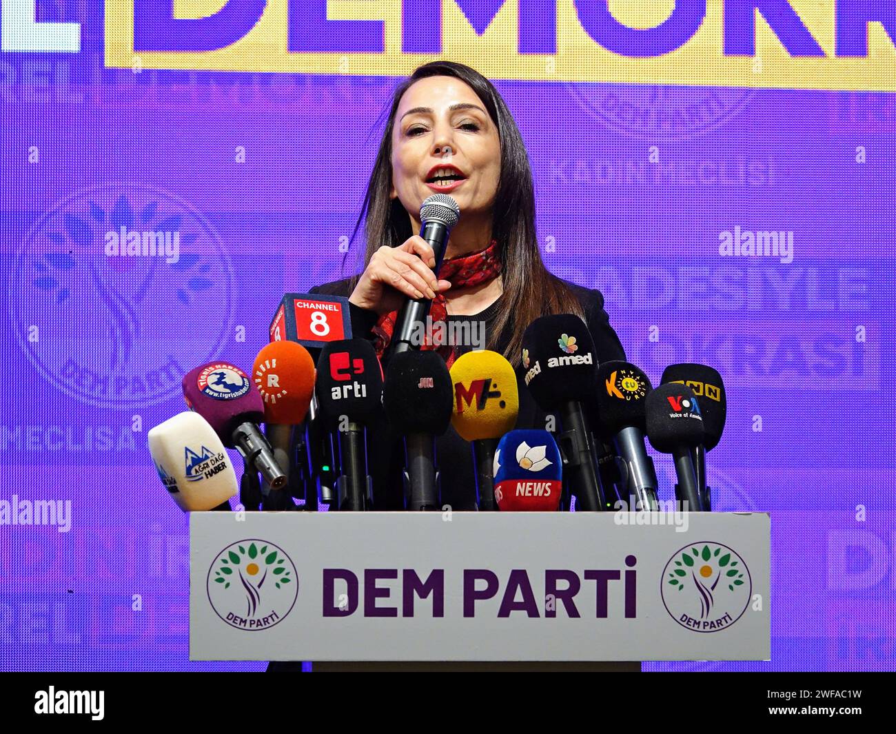 Peoples' Equality and Democracy Party (DEM Party) Co-Chair Tulay ...