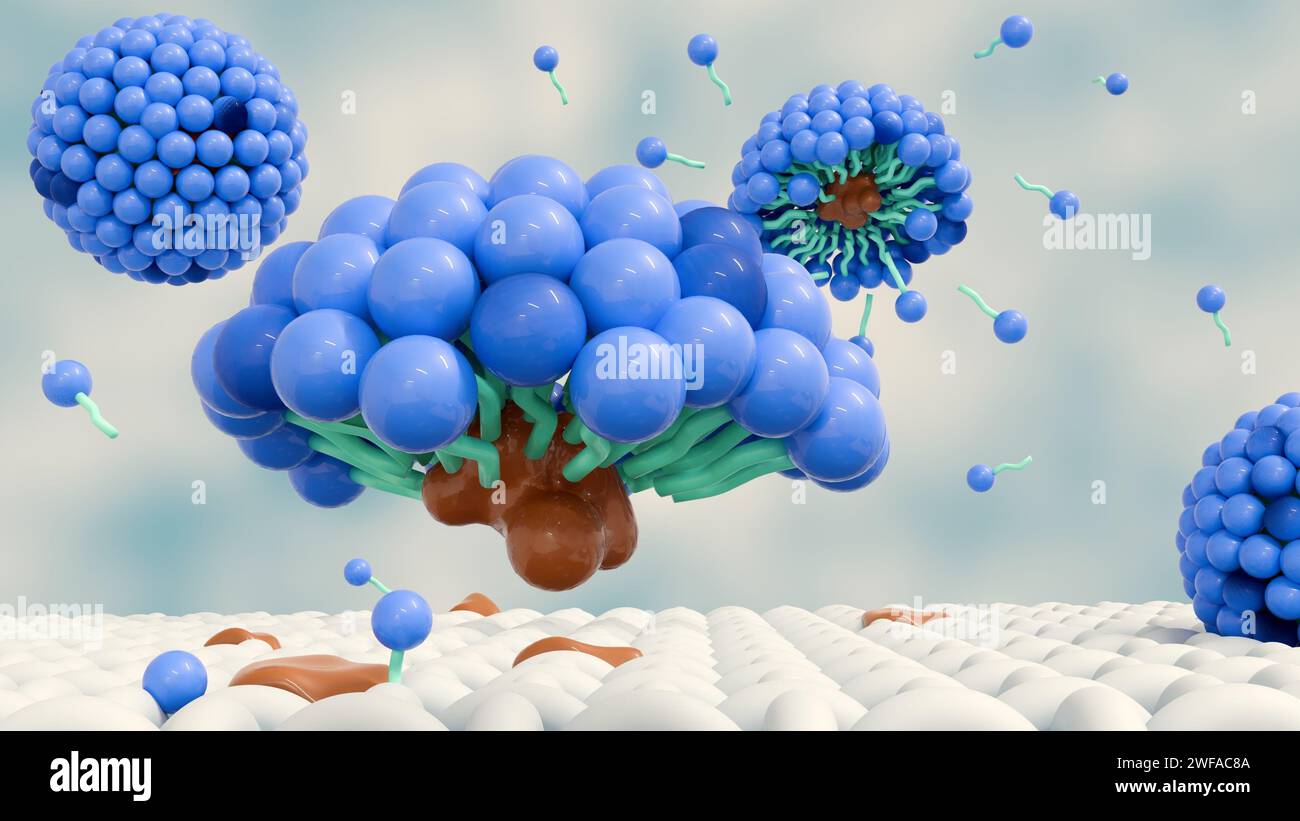 3d rendering of the soap molecules form structures called micelles. it ...
