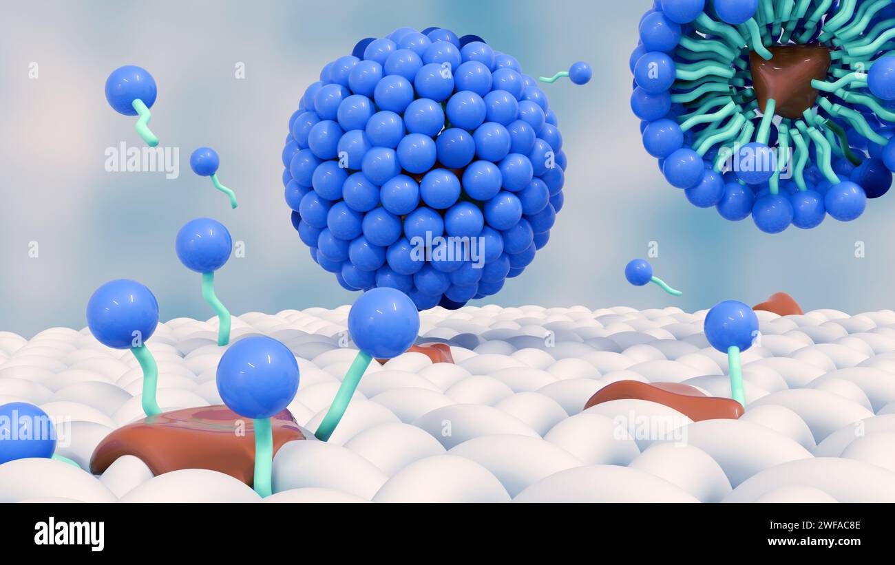 3d Rendering Of The Soap Molecules Form Structures Called Micelles It