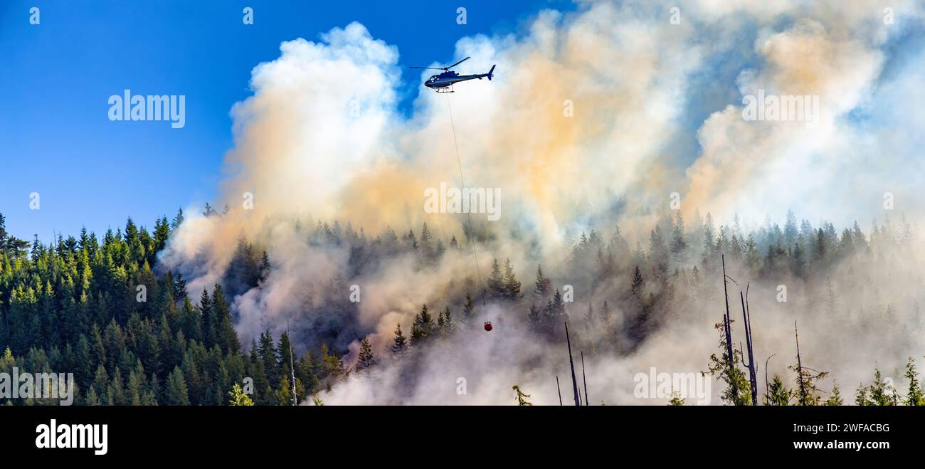Helicopter fighting forest fires in the green forest. Vancouver Island ...