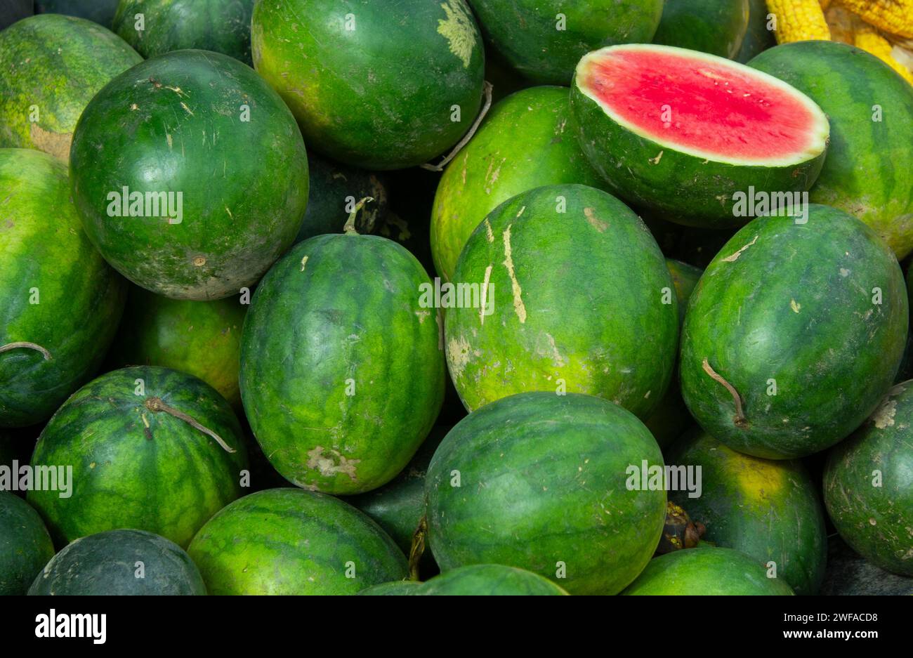 pile of watermelons, watermelon background with one watermelon in half ...