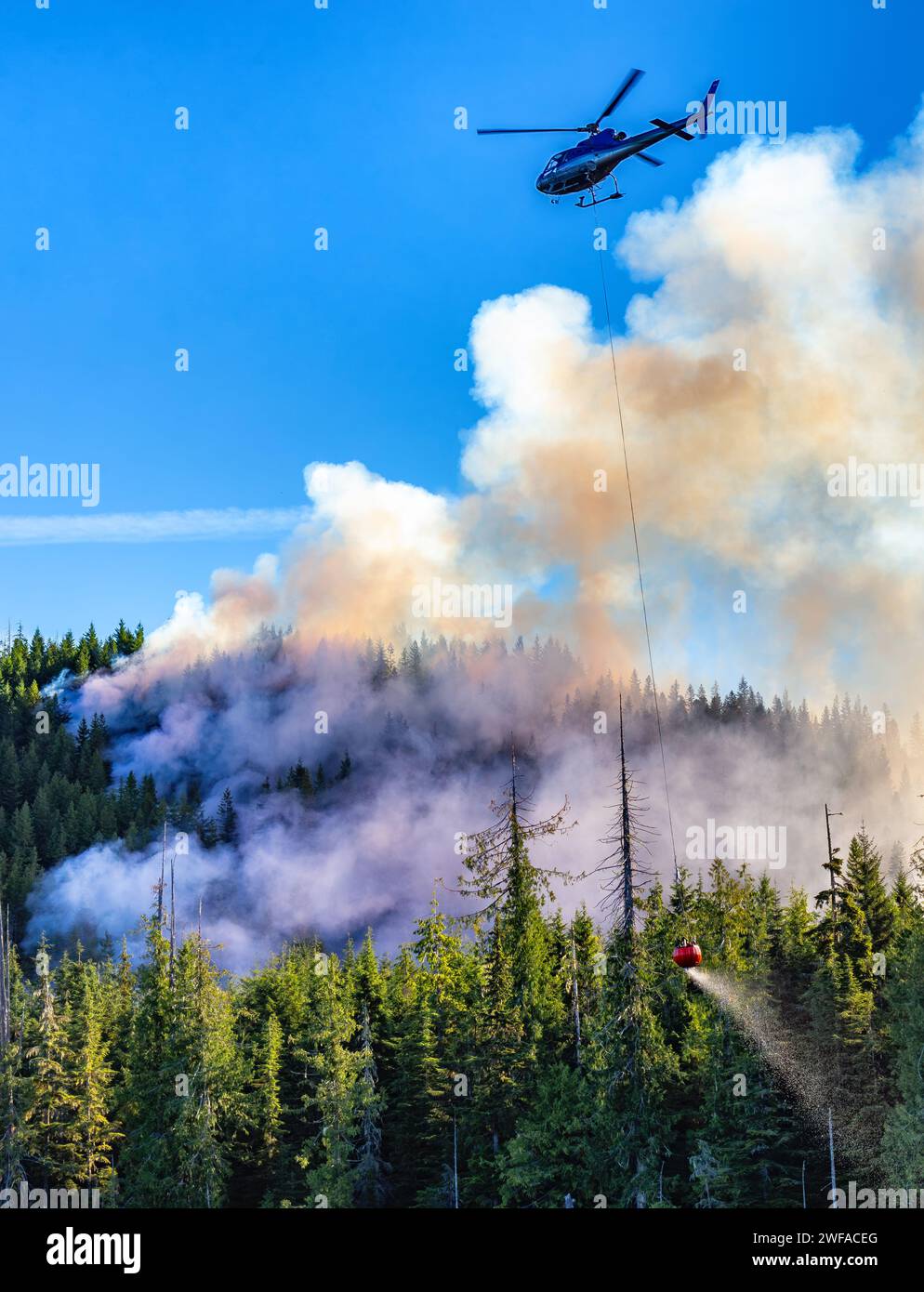 Helicopter fighting forest fires in the green forest. Vancouver Island ...