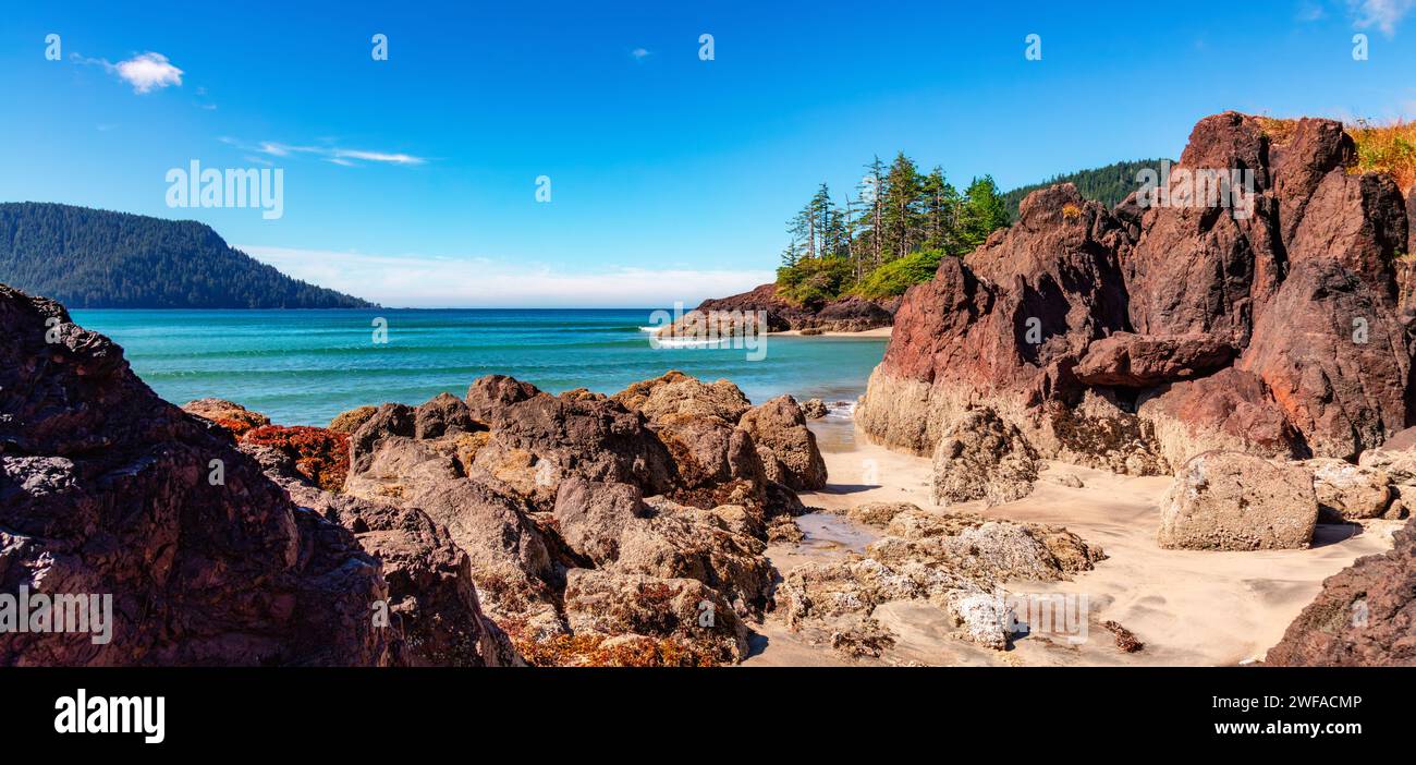 Canadian Nature Landscape on the West Coast of Pacific Ocean. Sandy ...