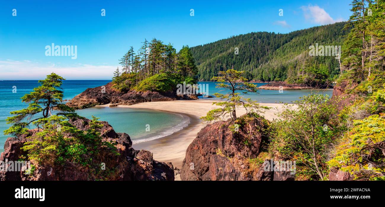 Canadian Nature Landscape on the West Coast of Pacific Ocean. Sandy ...