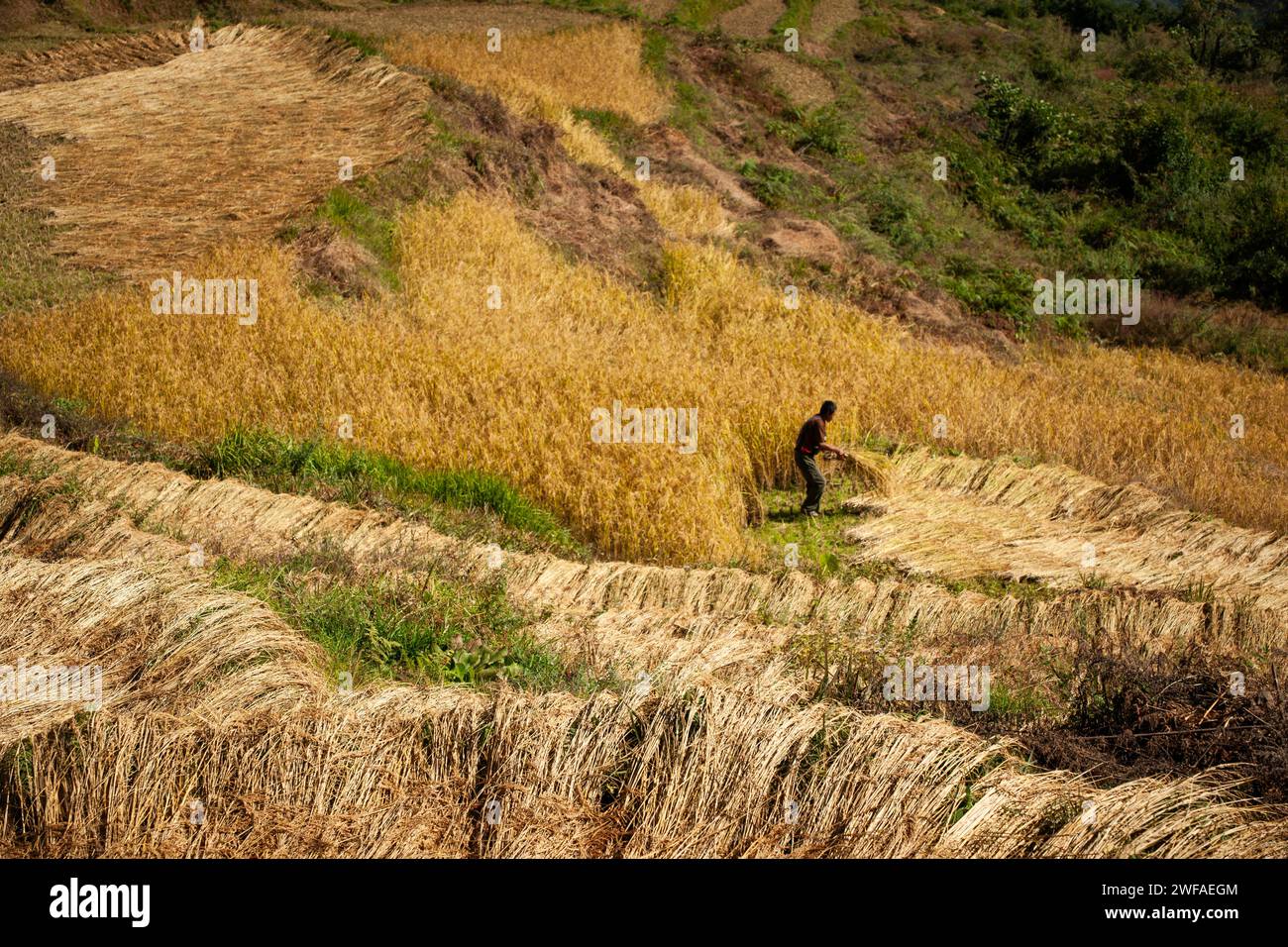 Punaka valley hi-res stock photography and images - Alamy