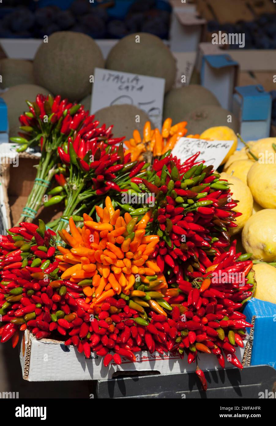 Venice italy red chili pepper hi-res stock photography and images - Alamy