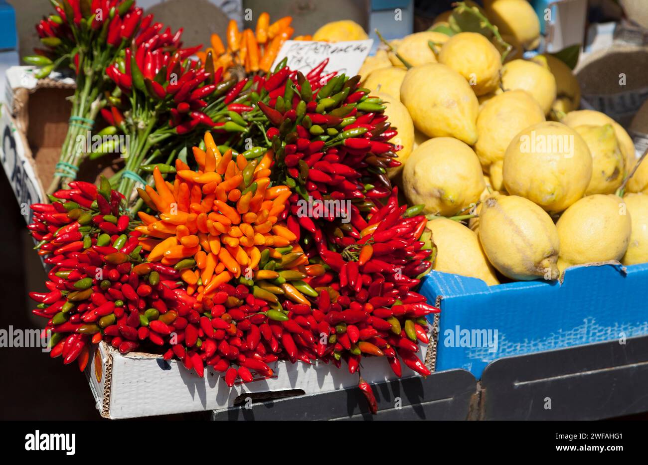 Venice italy red chili pepper hi-res stock photography and images - Alamy
